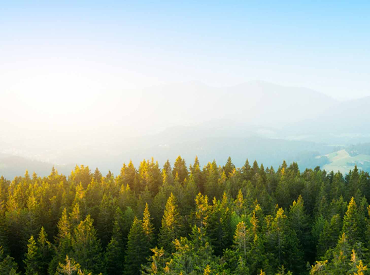 Celebrate Earth Day with the clean energy of propane! | Ferrellgas ...